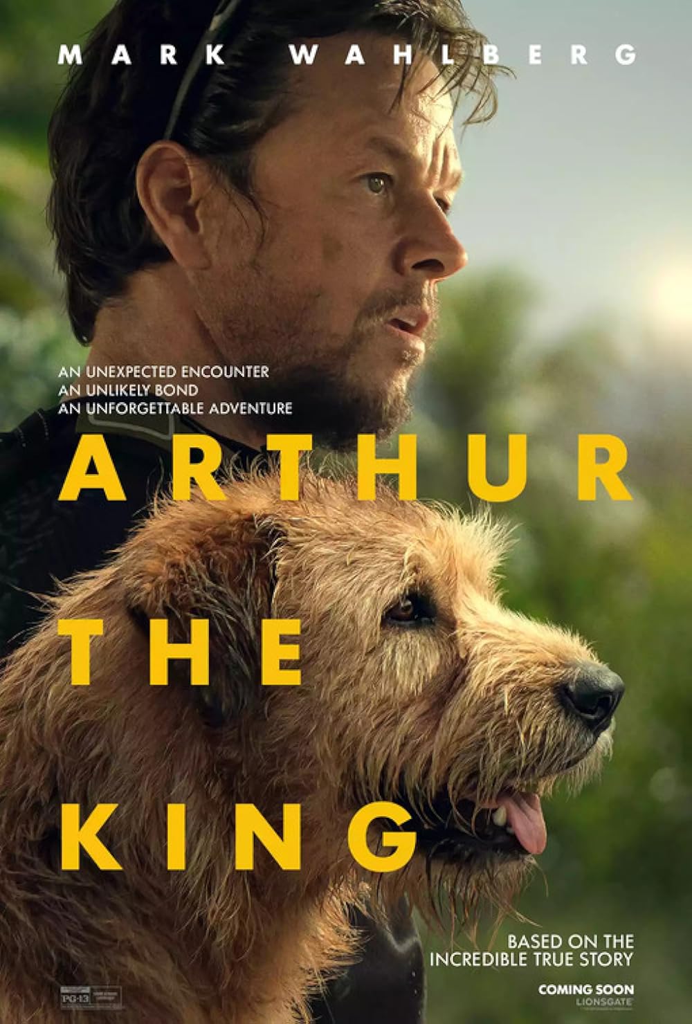 “Arthur the King” Review – The Creative Cinematic Collection