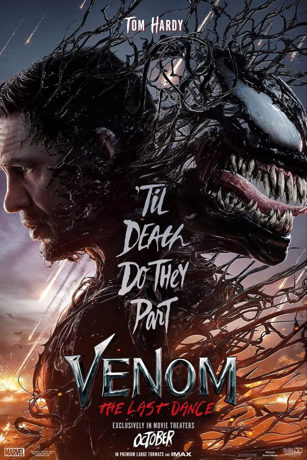 “Venom: The Last Dance” Review – The Creative Cinematic Collection